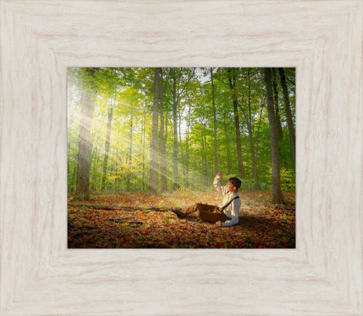 Hear Him by Alan Fullmer first vision sacred grove Joseph smith sitting ...
