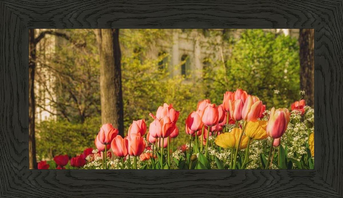 Salt Lake in the Garden – LDSArt.com