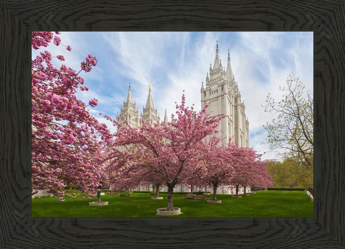 Salt Lake Spring Blossoms – LDSArt.com