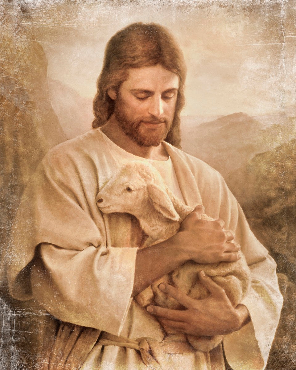 lost lamb vintage by del parson jesus christ holding a white lamb ...