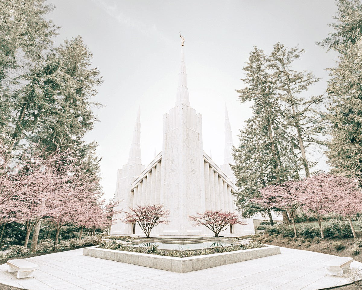Portland Oregon Temple Pictures & Art – LDSArt.com