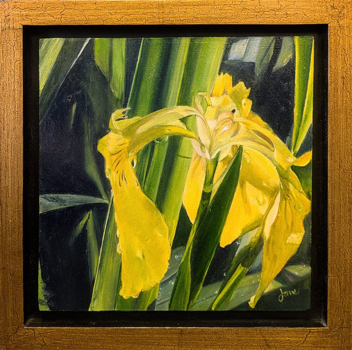 Royal Yellow Dutch Iris by Nila Jane Autry – LDSArt.com