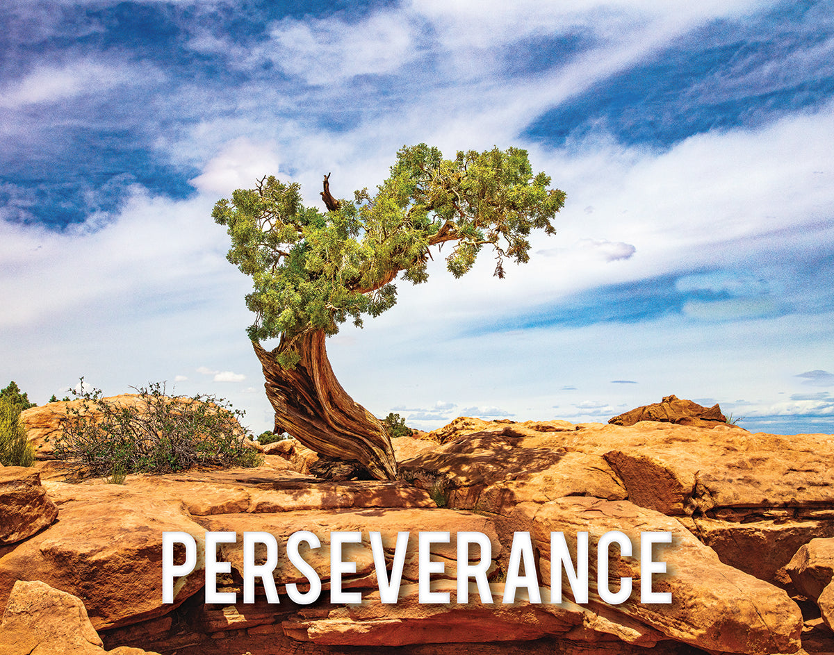 Perseverance Multivisional Poster by Julie Kerr features a photograph ...